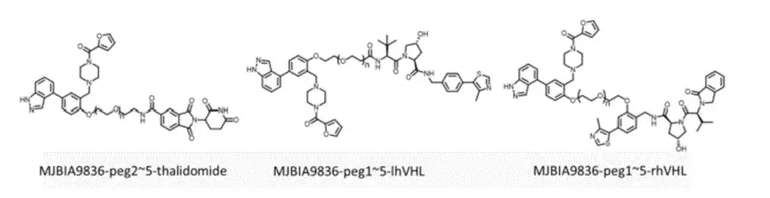 DEL Insight | DEL助力发现E3连接酶衔接体蛋白MAGE-A3配体和PROTAC - 知乎