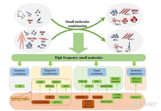 【18期】TargetMol明星分子——T3031、T1726 & T2301 - 知乎