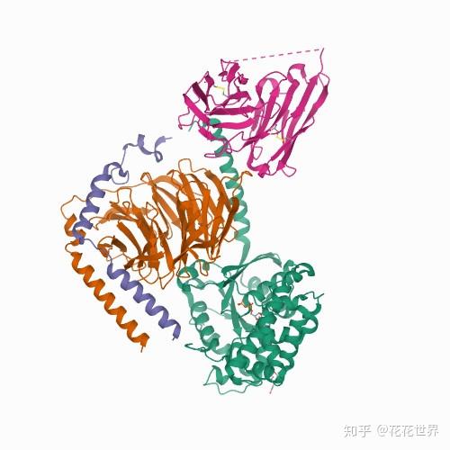 Single-Chain Fragment Variable (ScFv) - 知乎