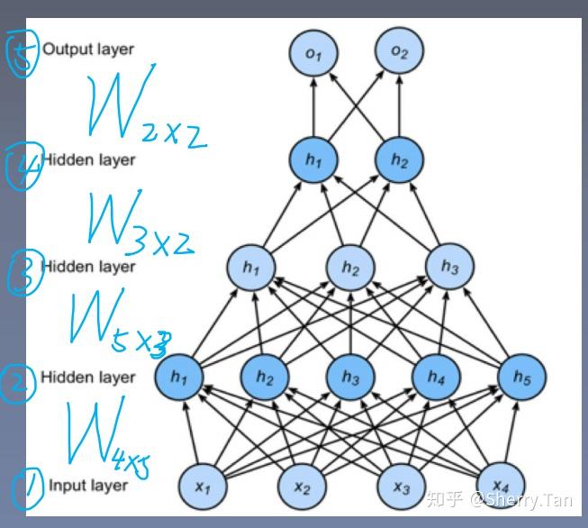 一文了解神经网络MLP(ANN), CNN, RNN - 知乎