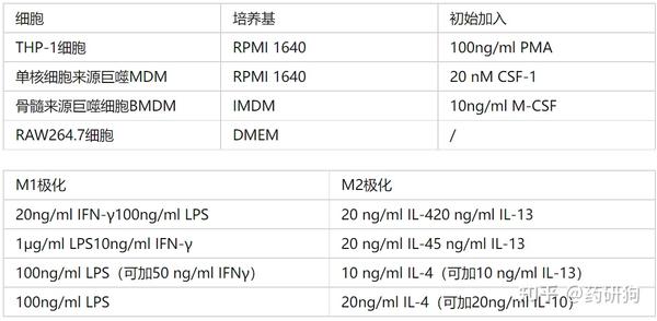 细胞实验（持续更新。。。） - 知乎