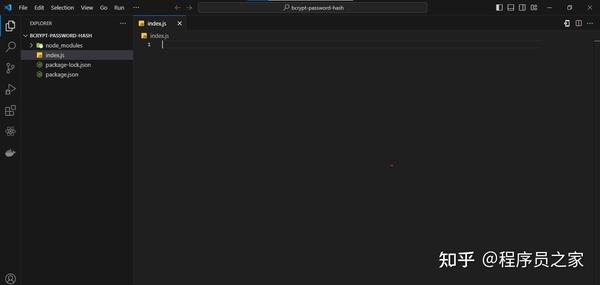 如何在 Node.js 中使用 bcrypt 对密码进行哈希处理 - 知乎