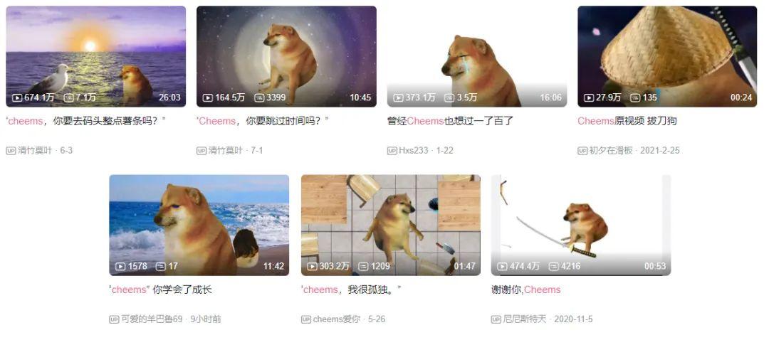 又怂又废，它是全世界最红的狗 - 知乎