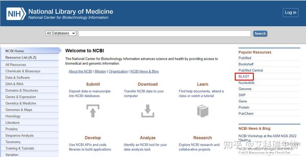 NCBI在线设计引物，经典必会！ - 知乎
