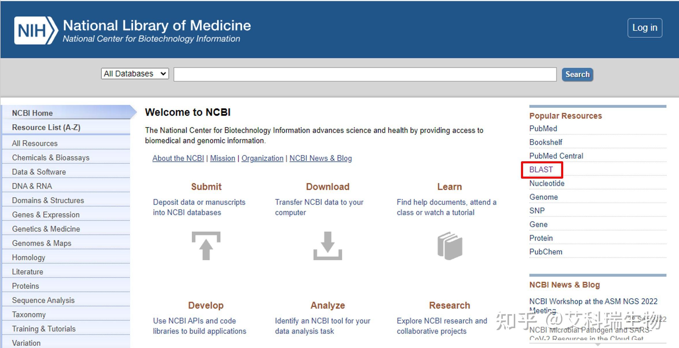NCBI在线设计引物，经典必会！ - 知乎