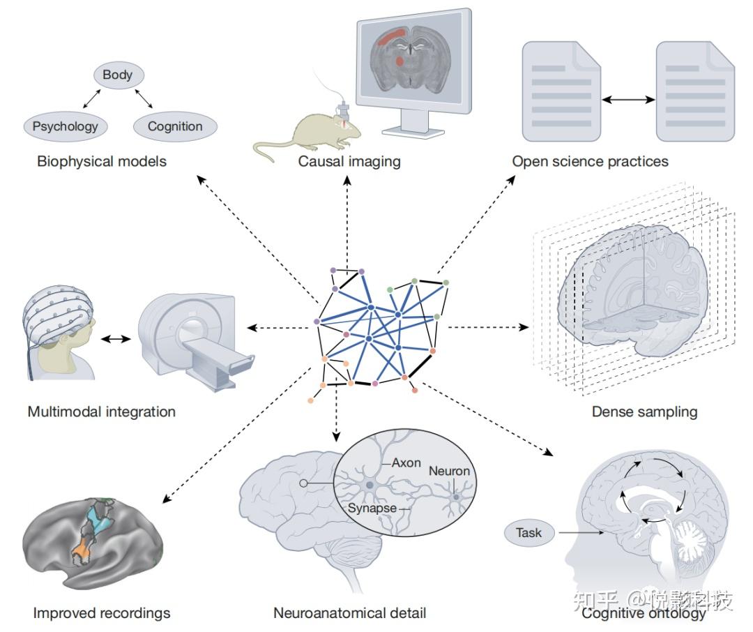 Nature：功能神经成像作为整合神经科学的催化剂 - 知乎