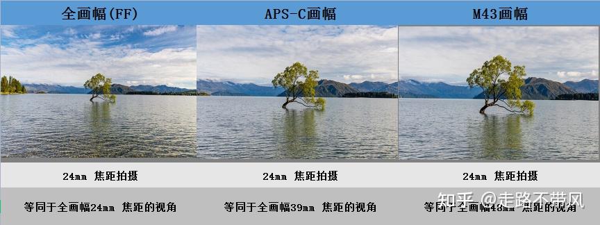 摄影新手入门：全画幅、APS-C、M43是什么？3分钟搞懂相机的感光元件 - 知乎