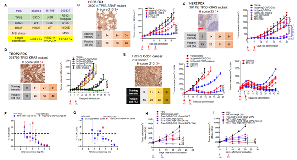 克服多重肿瘤耐药性！Cancer Discovery ：揭示ADC耐药机制，并展示新一代ADC技术平台 - 知乎