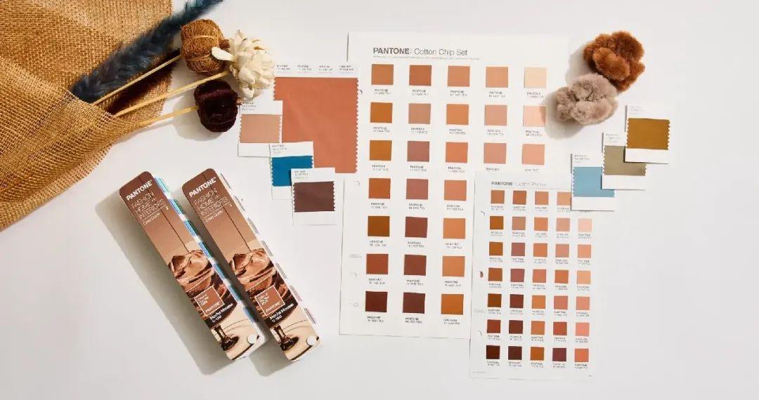 2025年度流行色：摩卡慕斯，真高级！ - 知乎