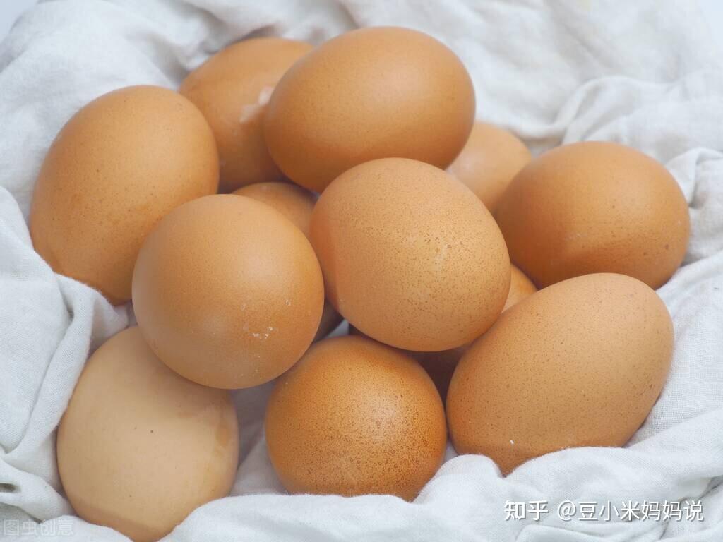 权威营养指南,让孩子吃出聪明的大脑,营养更健康 知乎
