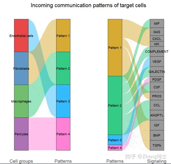 细胞通讯分析（单细胞测序）———CellChat（Homo、Mus） - 知乎