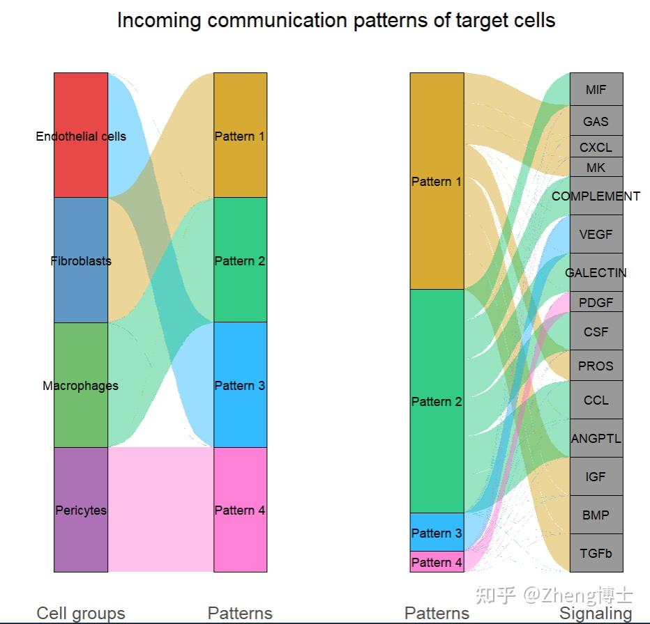 细胞通讯分析（单细胞测序）———CellChat（Homo、Mus） - 知乎