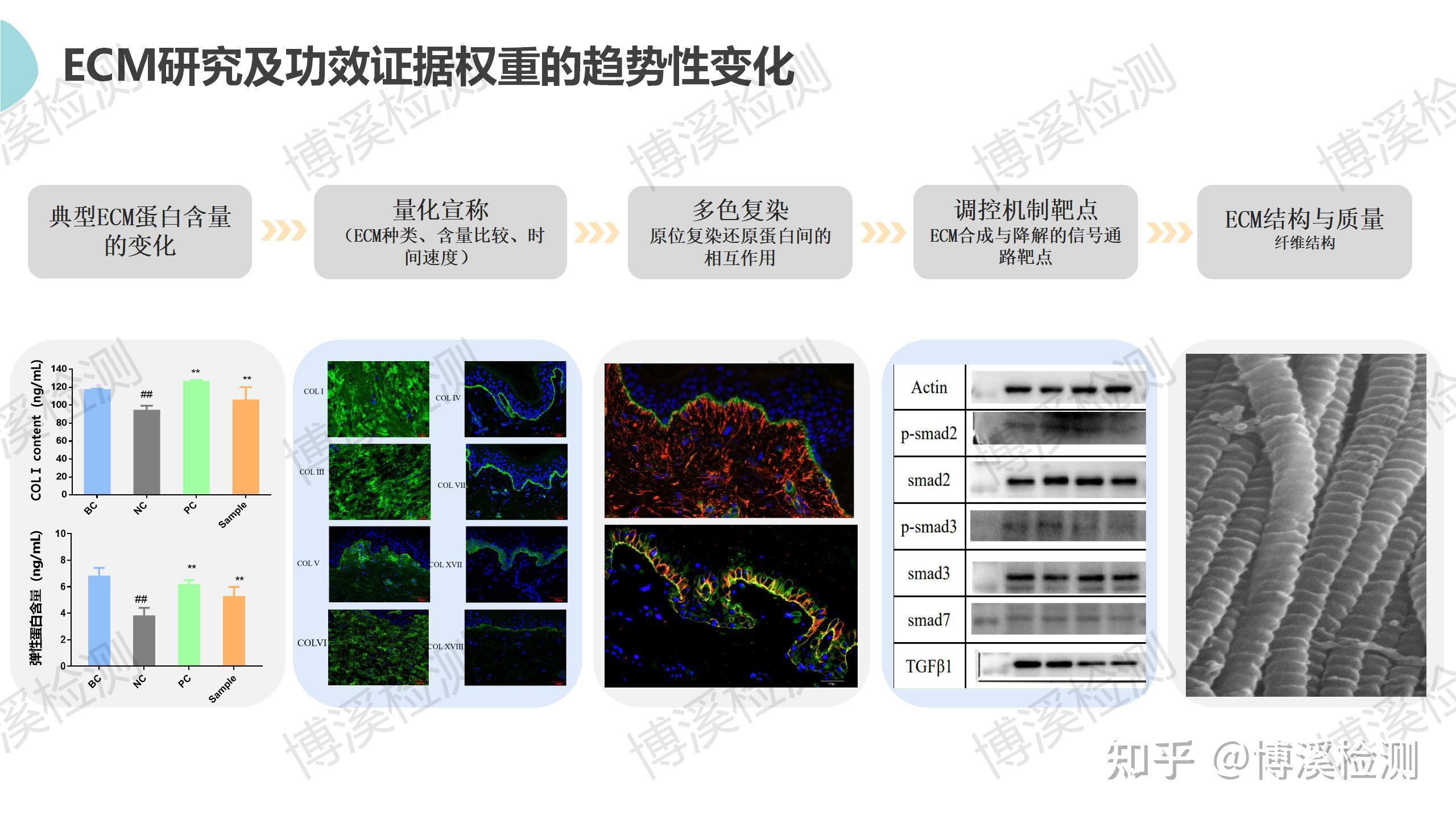 演讲实录 | 精准测评赋能美妆抗衰前沿研究 - 知乎