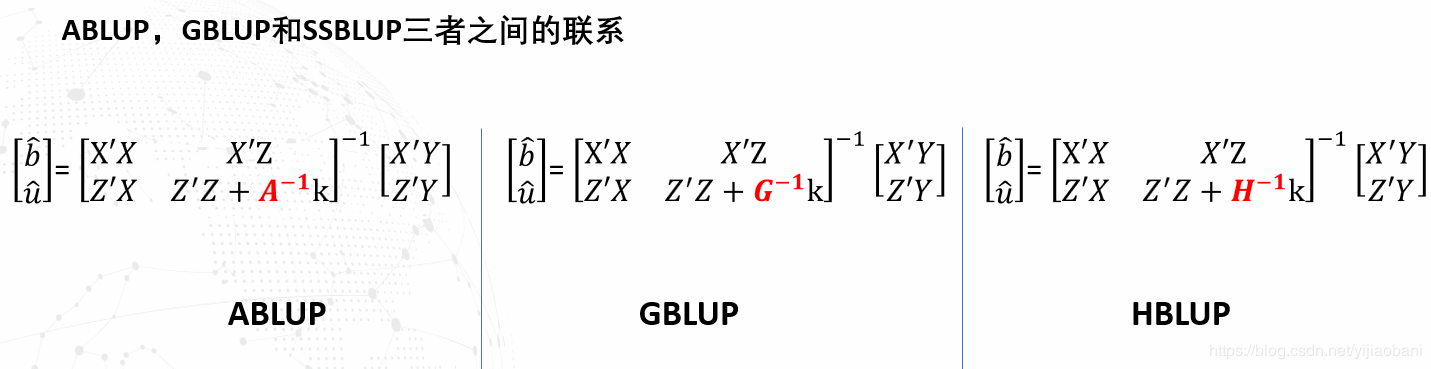 全基因组选择介绍及实践-1 - 知乎