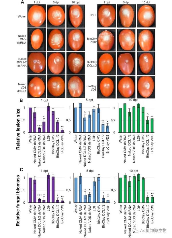 JIPB | 金海翎团队研究揭示延长作物对病原菌抗性的RNA干扰方法！ - 知乎