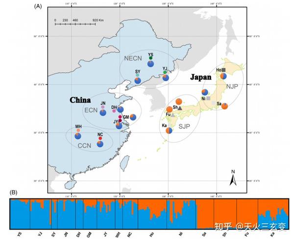 Genetic evidence of transoceanic migration of the small brown ...