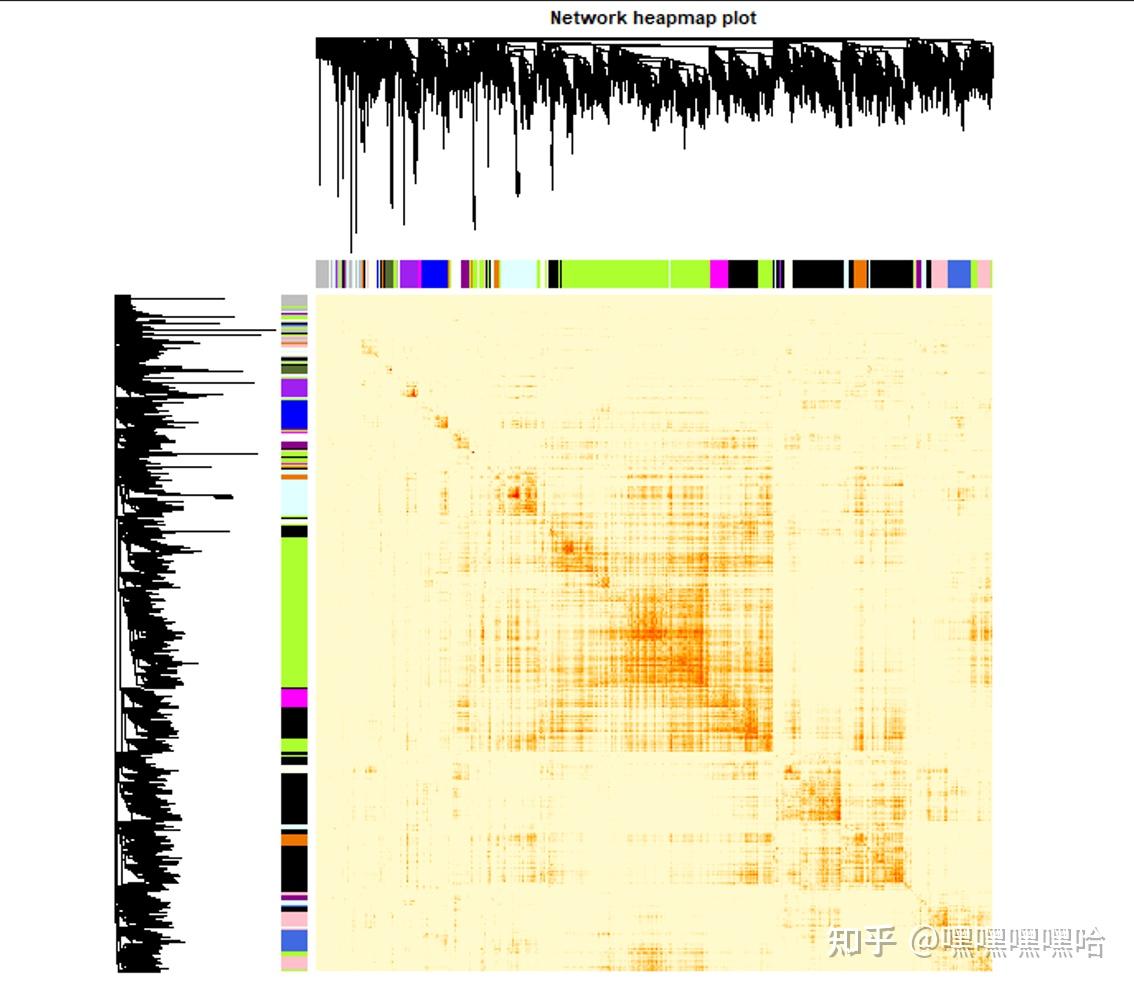 RNA-seq入门实战（十一）：WGCNA加权基因共表达网络分析——关联基因模块与表型 - 知乎