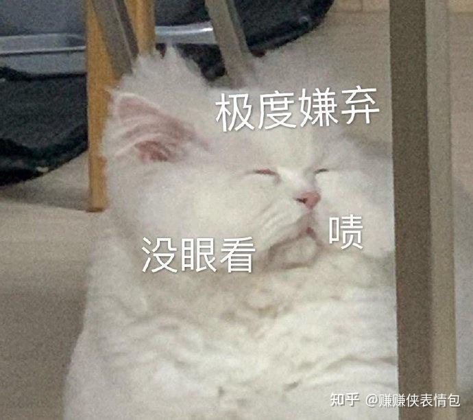 搞笑表情包图片：没眼看 - 知乎