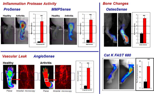 IVIS 活体光学成像技术概述 - 知乎