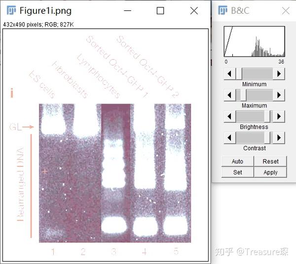 ImageJ实用教程——怎样实锤学术造假 - 知乎