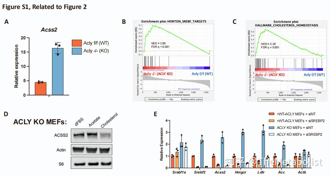 代谢学人——Cell Metabolism：肝脏降脂路径新探秘 - 知乎