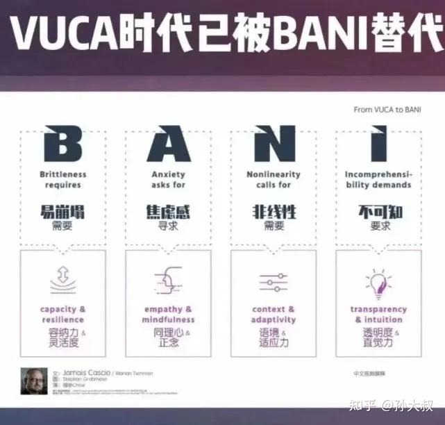 BANI时代下项目经理的生存指南 - 知乎