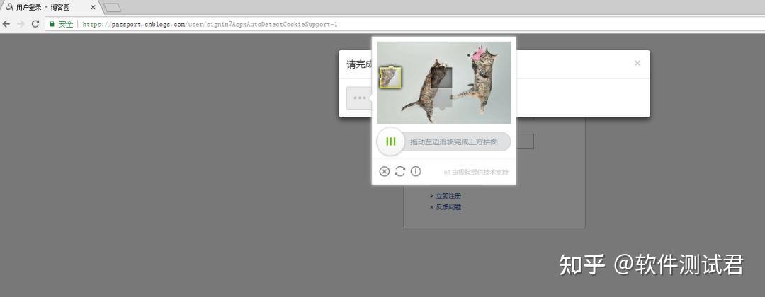 Selenium4 Python3系列(七) Iframe、select控件、交互式弹出框、执行js、cookie操作 知乎