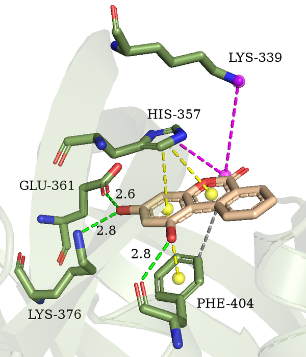 高质量PyMOL作图教程 - 知乎