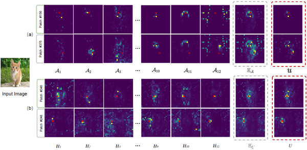 Transformer模型中patch交互的关系，你可以这样理解！ - 知乎