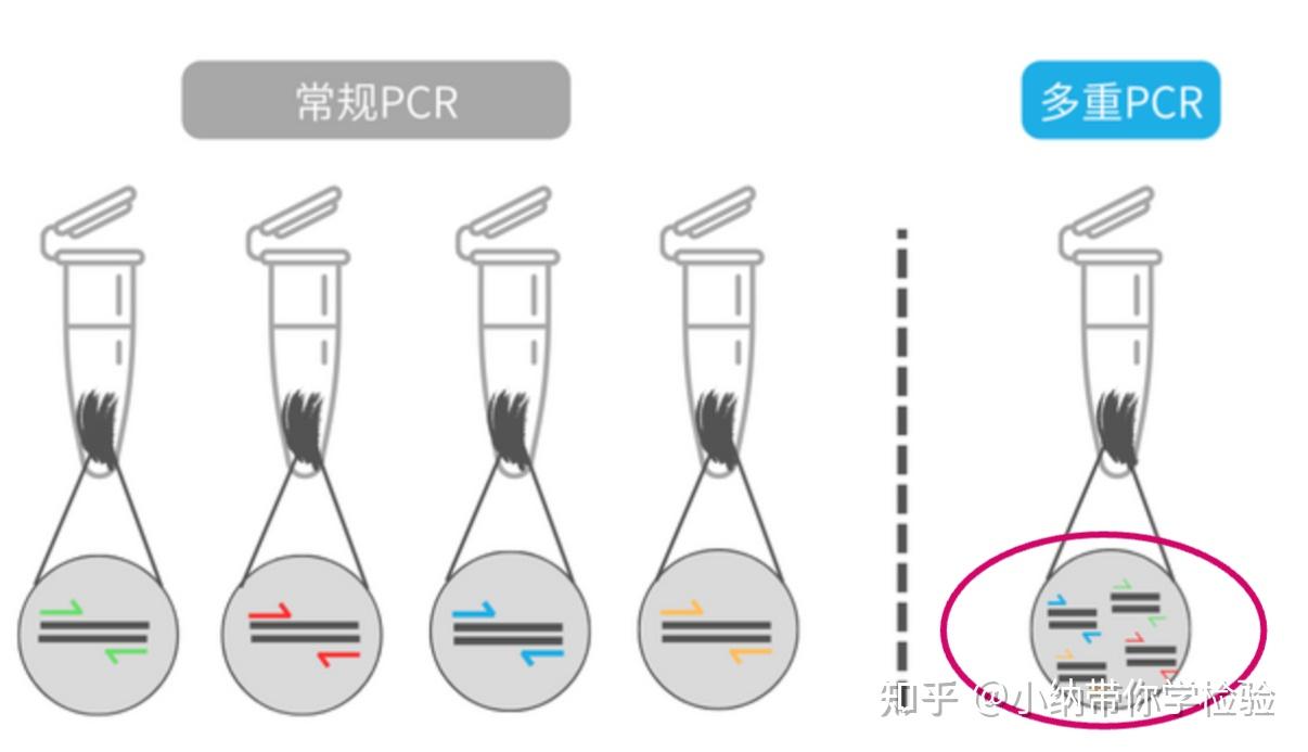 超多重检测，技术原理拆解——多重荧光PCR加多联管拼接。 - 知乎