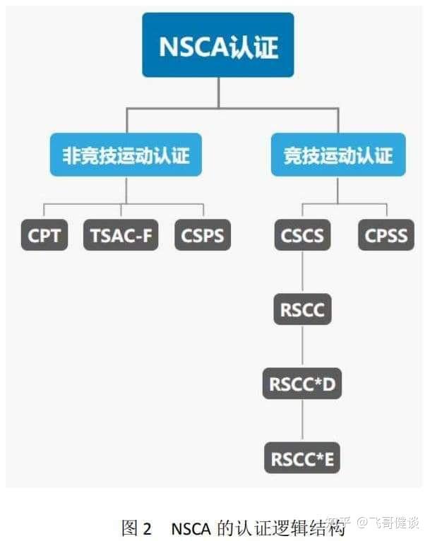 你不了解的NSCA认证体系 - 知乎
