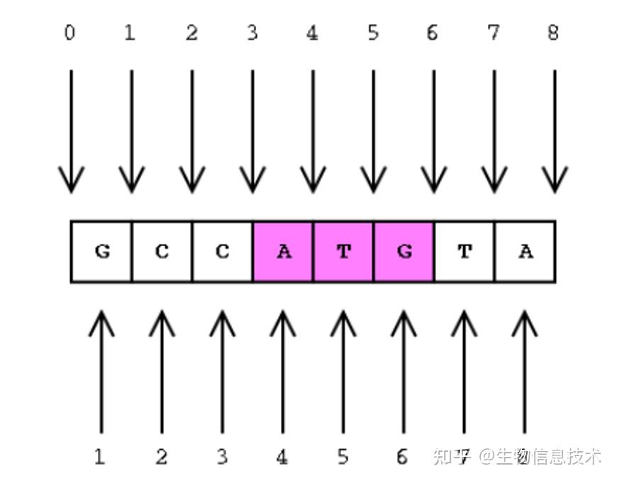BED文件格式详解 - 知乎