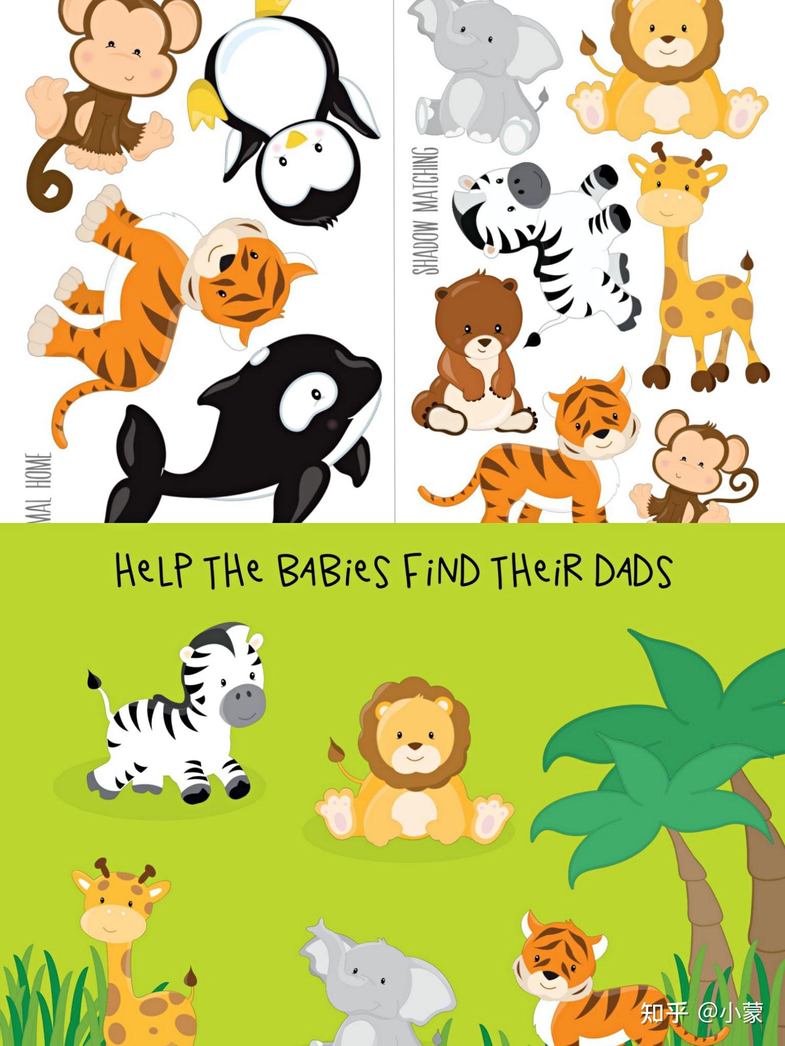 ⭐⭐zoo动物园安静书素材/免费分享素材资源 - 知乎