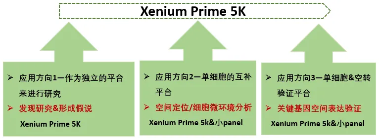 诺禾致源｜单细胞原位空间转录组-Xenium 5K超高分辨率原位定位技术 - 知乎