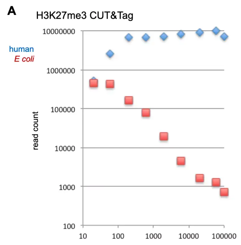 干货 | CUT&Tag核心酶Hyperactive PA/PG-Tn5 Transposase大解密 - 知乎