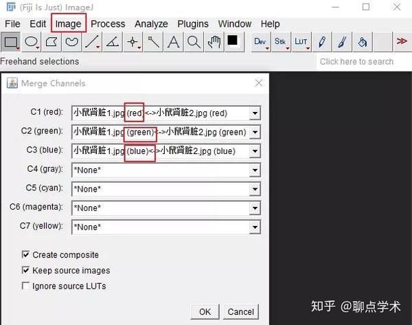 如何用Image J实现组织图片的无缝拼接 - 知乎
