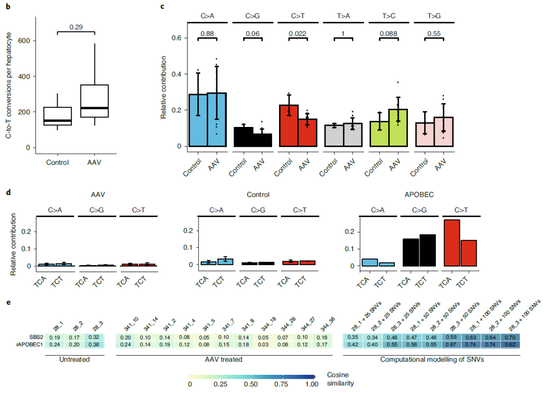 Nature子刊：AAV、LNP递送单碱基编辑器修复肝脏遗传病，且不产生脱靶效应 - 知乎