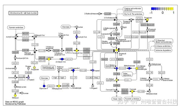 如何用Pathview画出高大上的基因与代谢通路热图？ - 知乎