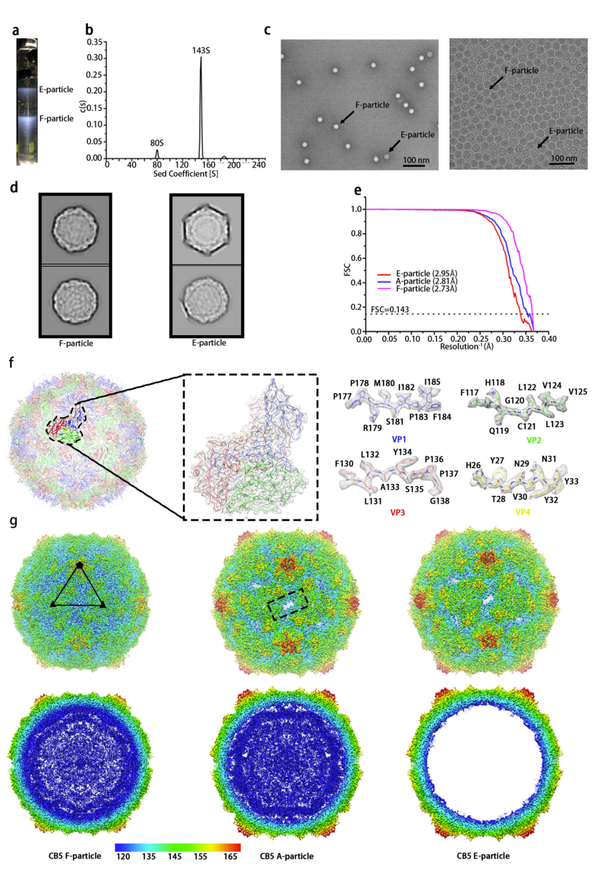 分析型超速离心（AUC）文献快报-1月刊 - 知乎