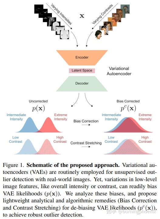 2 100 Robust Outlier Detection By De Biasing Vae Likelihoods Cvpr 2022