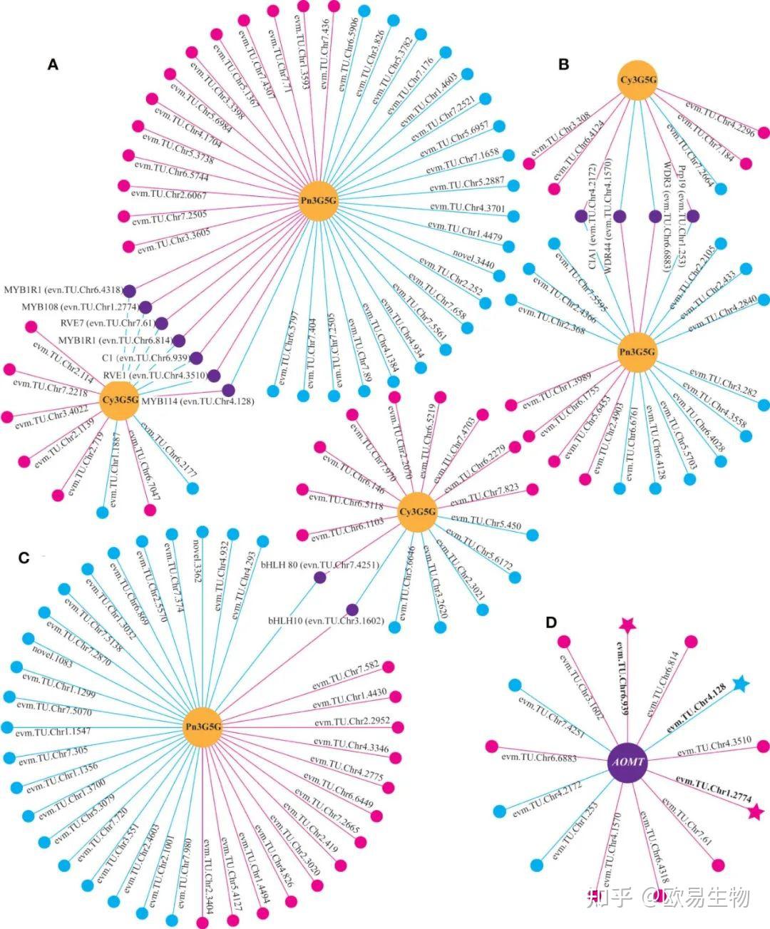 植物科学顶刊，转录组+代谢组学揭示玫瑰花色的形成机制 - 知乎