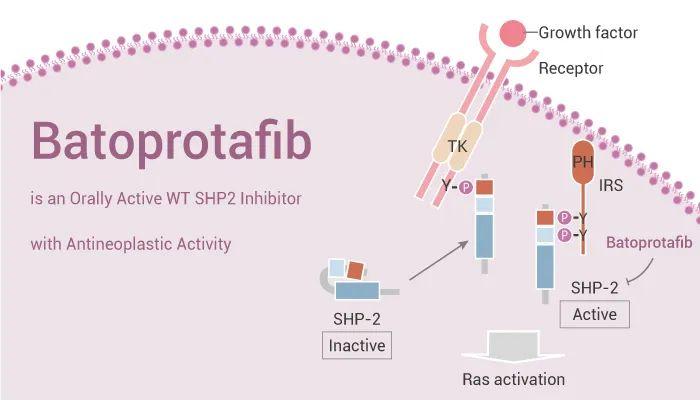 WHO 盘点 | 这些小分子药物有潜力 - MedChemExpress - 知乎