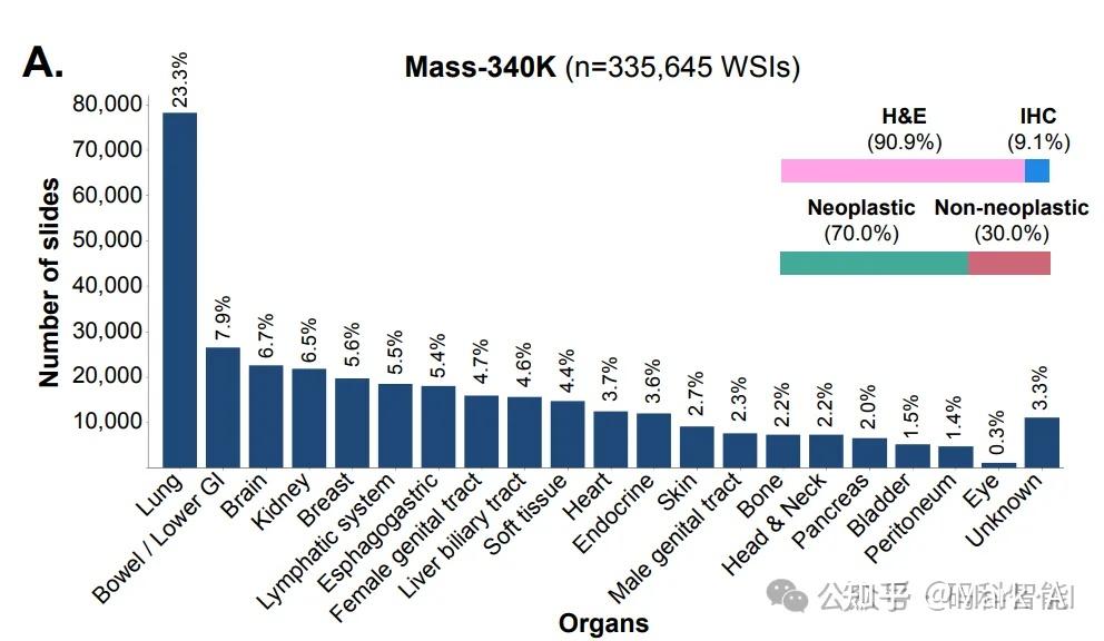 病理大模型四重奏，哈佛医学院全部开源！从UNI、CHIEF到TITAN，从诊断疾病到生成报告，适用30+癌症类型 - 知乎
