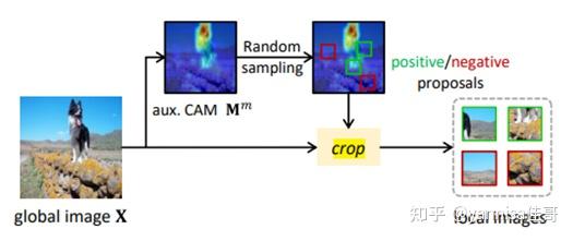 Token Contrast For Weakly Supervised Semantic Segmentation —— Cvpr2023 知乎