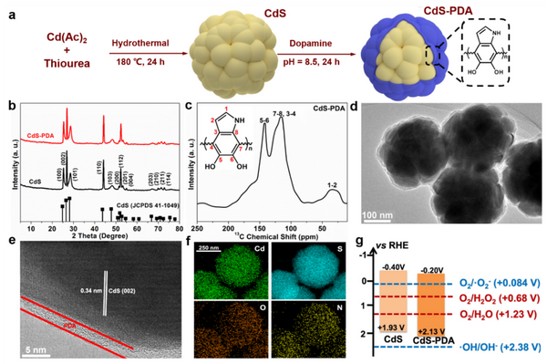 赵旭团队/Wonyong Choi教授ACS Catal.: 基于聚多巴胺蒽醌可逆转化人工光合作用合成H₂O₂ - 知乎