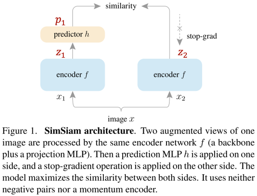 Exploring Simple Siamese Representation Learning - 知乎