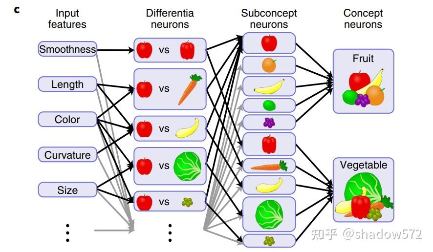 【论文笔记】Explainable neural networks that simulate reasoning - 知乎