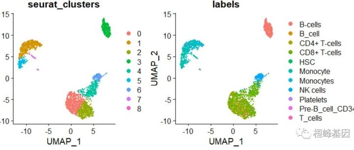 SCS【6】单细胞转录组之细胞类型自动注释 (SingleR) - 知乎