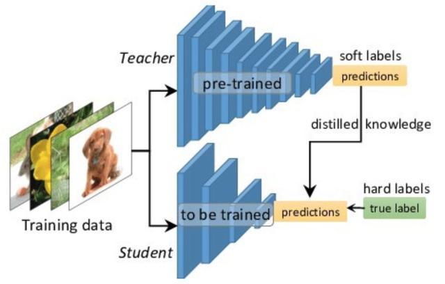 StartDT AI Lab | 视觉智能引擎之算法模型加速 - 知乎