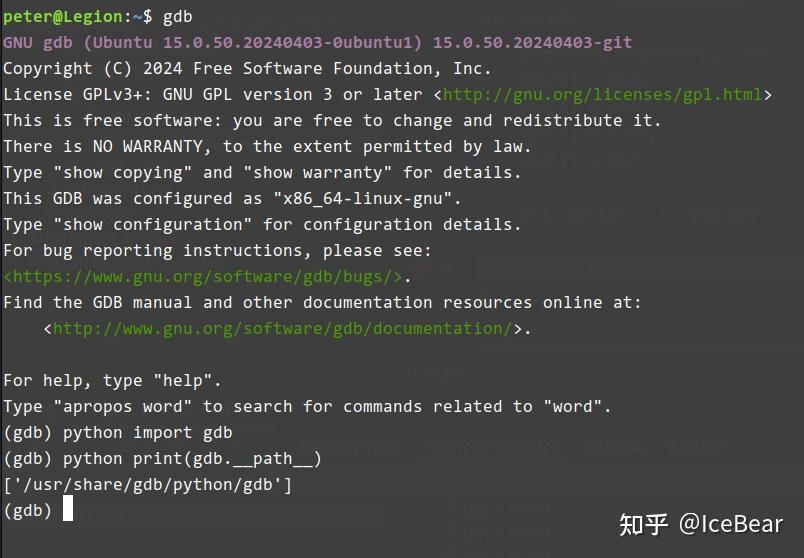 优雅漂亮的调试——gdb Pretty Printer技术实战分享